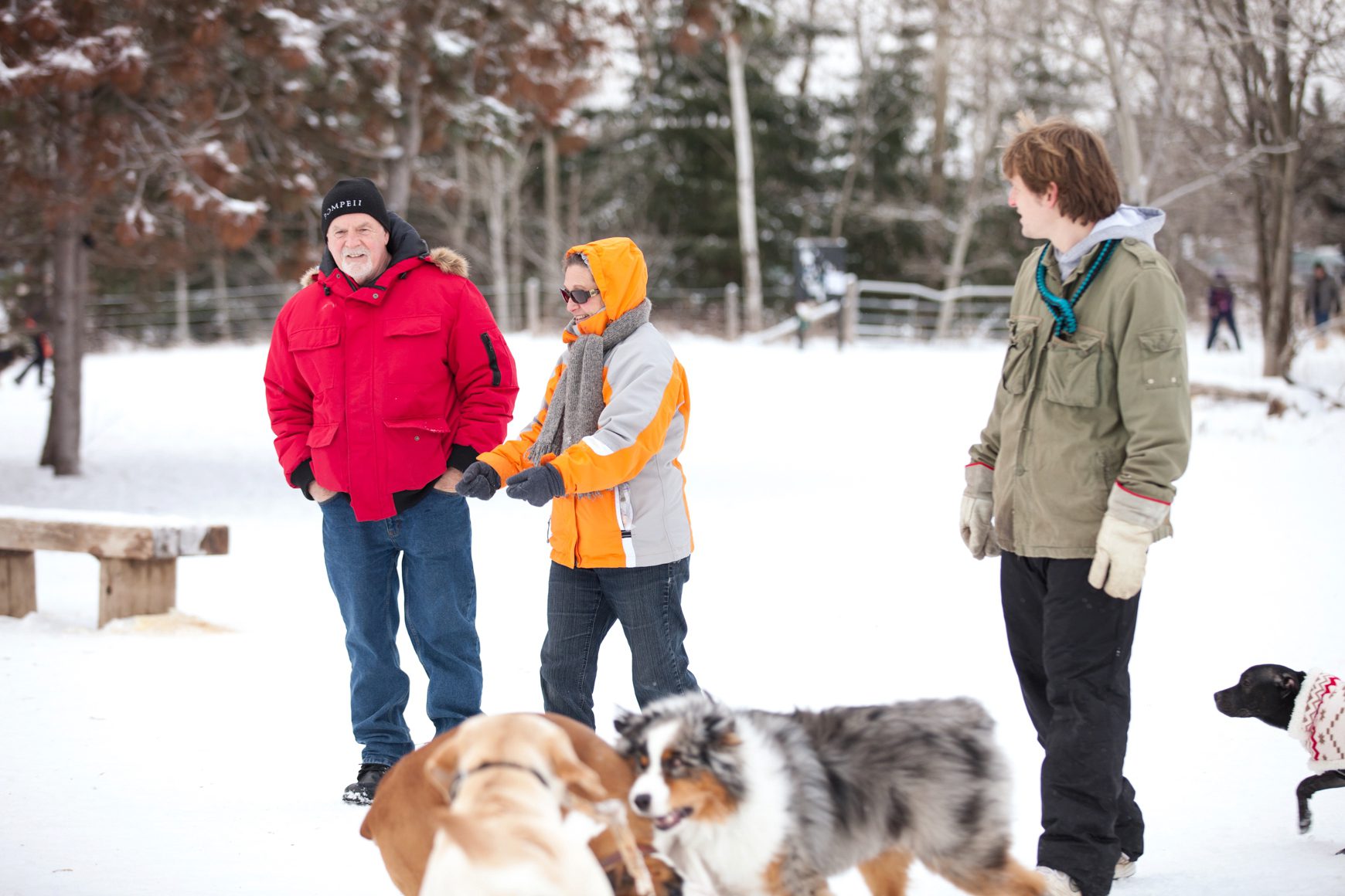 Winter at Bruce Pit | Ottawa Wedding & Family Photographer | Natasha ...