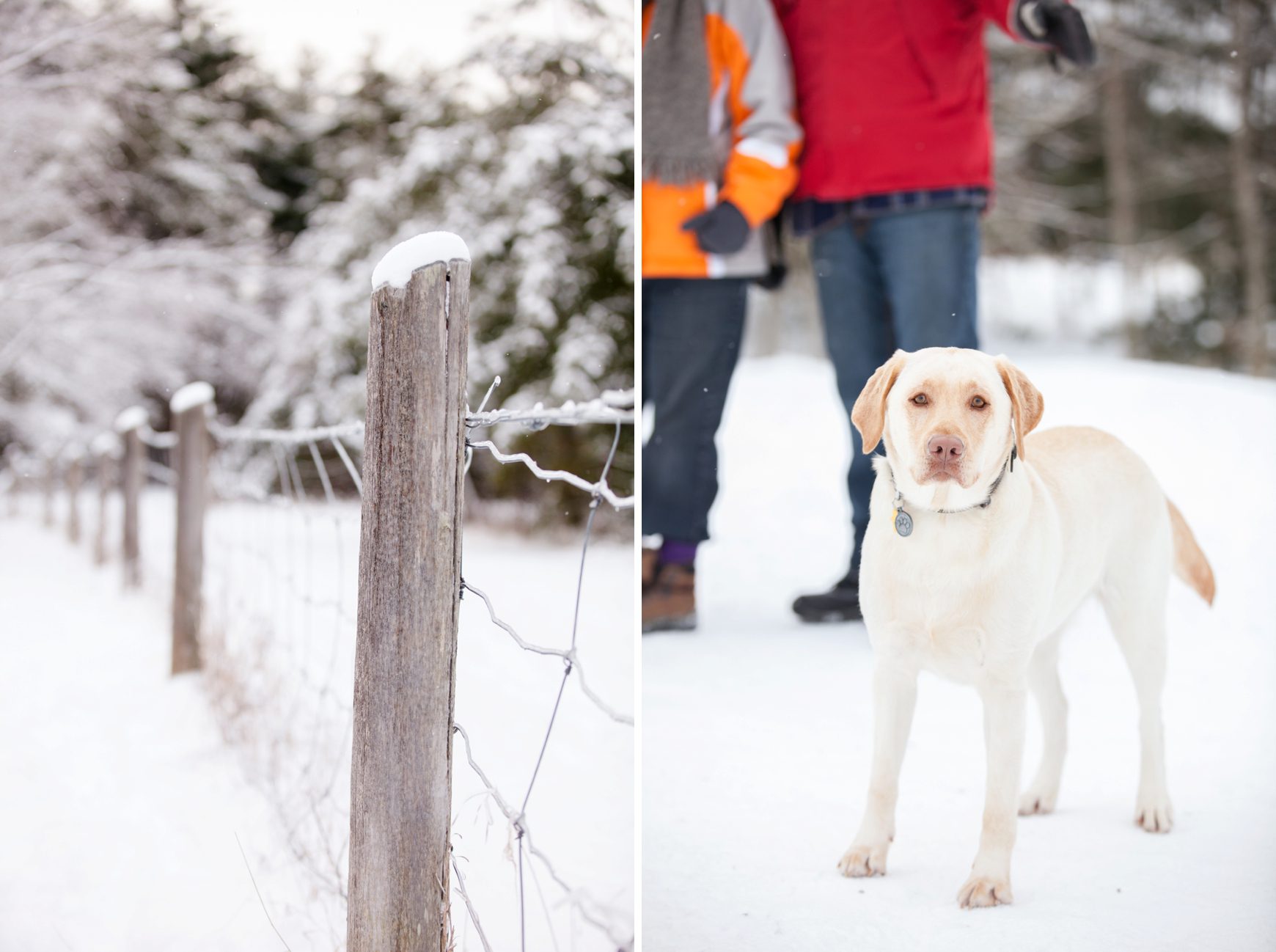 Winter at Bruce Pit | Ottawa Wedding & Family Photographer | Natasha ...